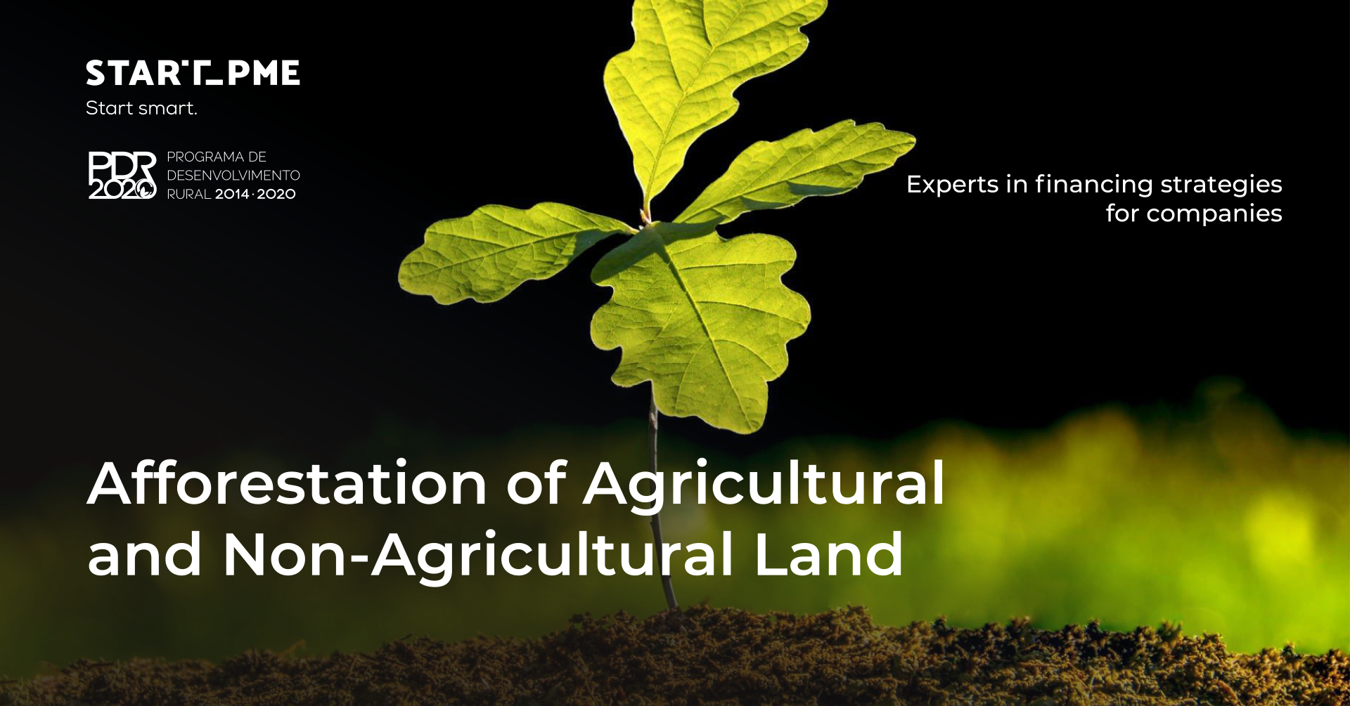 Afforestation of Agricultural and Non-Agricultural Land